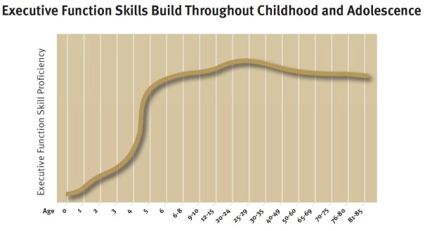 Meet the executive functions: the key to brains that work like they ...