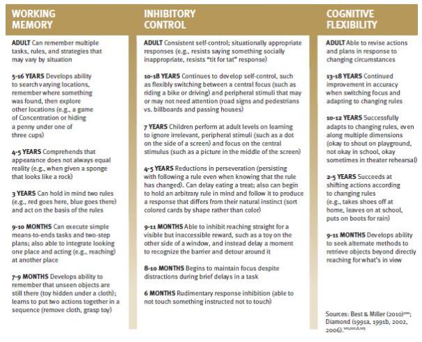 Meet the executive functions: the key to brains that work like they ...